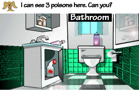 Poison Prevention - ipl: Information You Can Trust | Internet Public ...